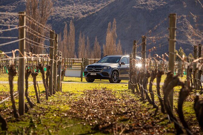 Private Guided Wine Tour Ex Queenstown - Who Is This Tour Best For?