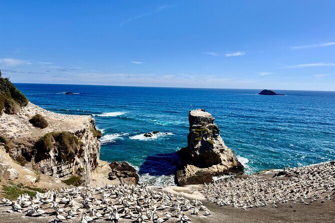 [PRIVATE] Haka to Waves Auckland West Coast Journey - Who Would Love This Tour?