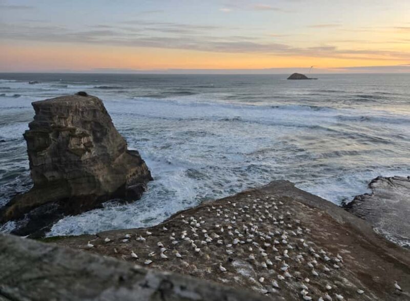 [PRIVATE] Haka to Wine West Coast Journey - The Maori Cultural Performance: Power and Tradition