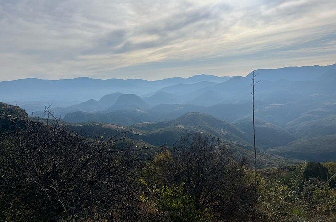 Private Half Day Bird Watching Experience - Why Consider the Private Bird Watching Tour in Oaxaca?