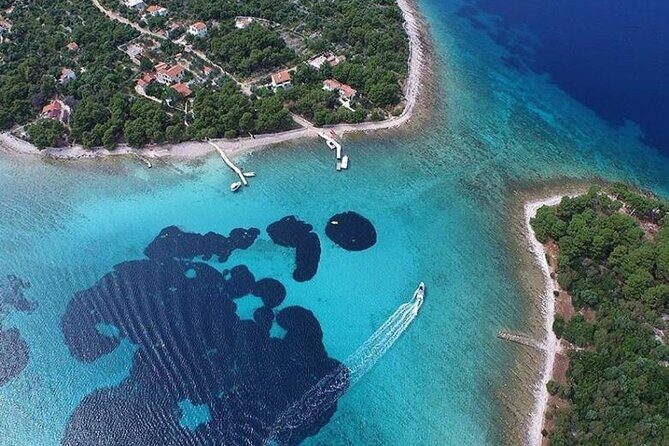 Private Half day Blue Lagoon Tour - Analyzing the Price and Value