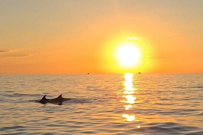 Private Half-Day Boat Excursion in Pula - The Experience: What Travelers Are Saying