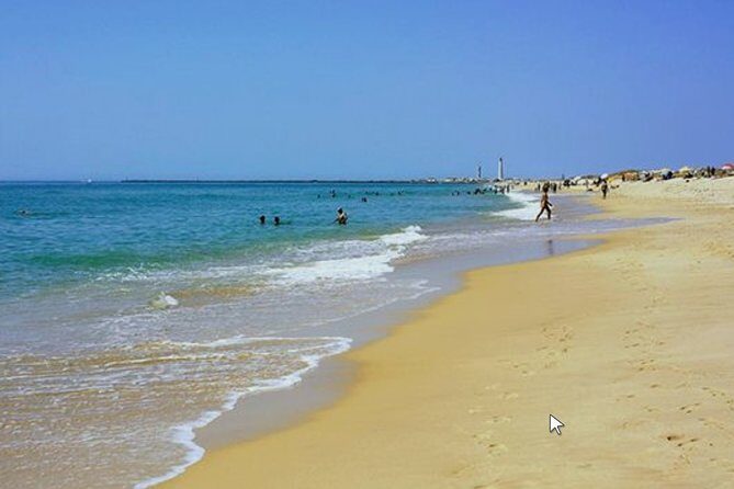 Private Half-Day Boat Tour in Ria Formosa from Faro - Who Would Love This Tour?