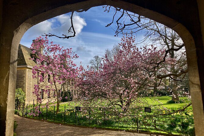 Private Half-Day Guided Tour in Oxford - An In-Depth Look at the Tour Experience