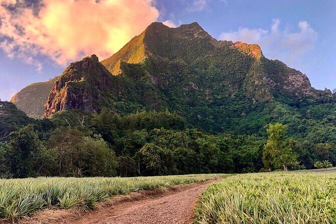 Private Half-Day Hike in the Opunohu Valley in Moorea - The Experience Breakdown