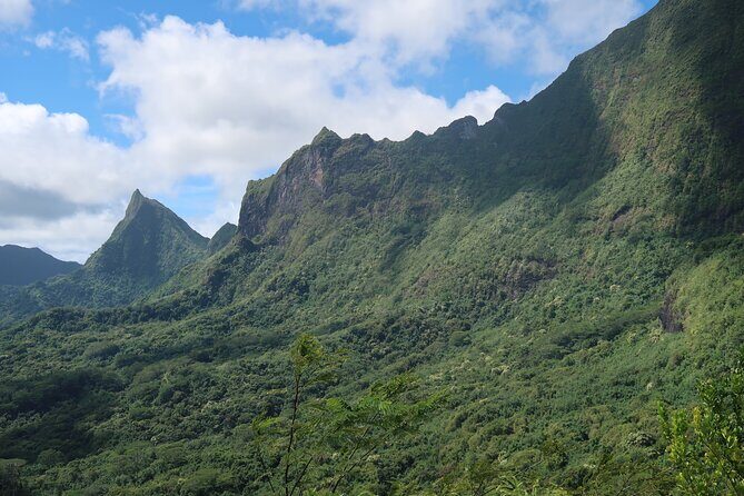 Private Half-Day Hike in the Opunohu Valley in Moorea - The Sum Up: Who Is This Tour Perfect For?