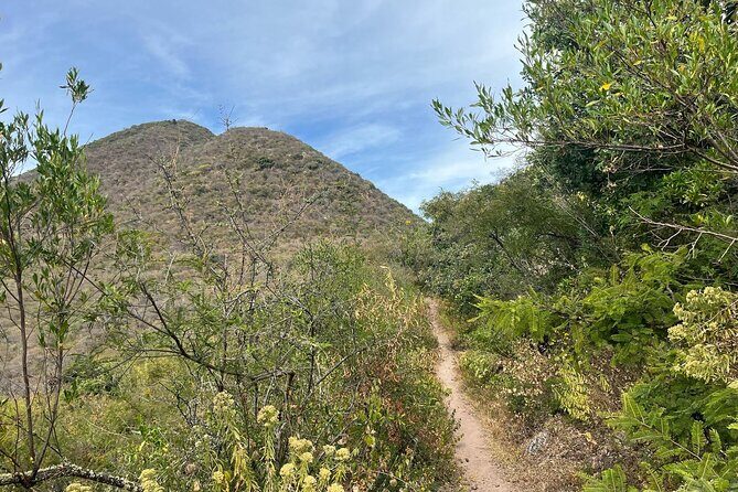 Private Half Day Hiking Experience in Picacho - Key Points