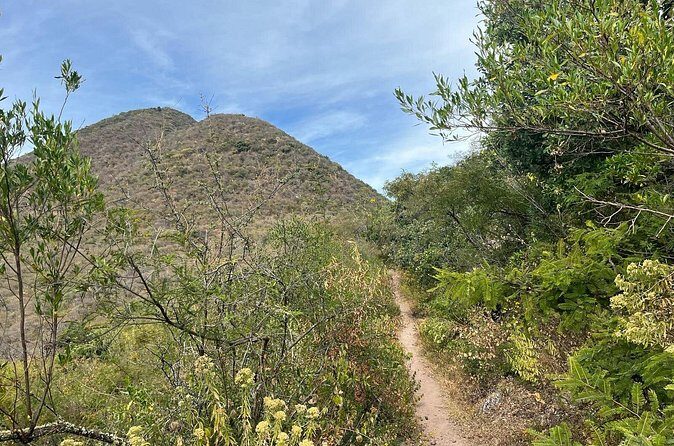 Private Half Day Hiking Experience in Picacho - Who Should Consider This Hike?
