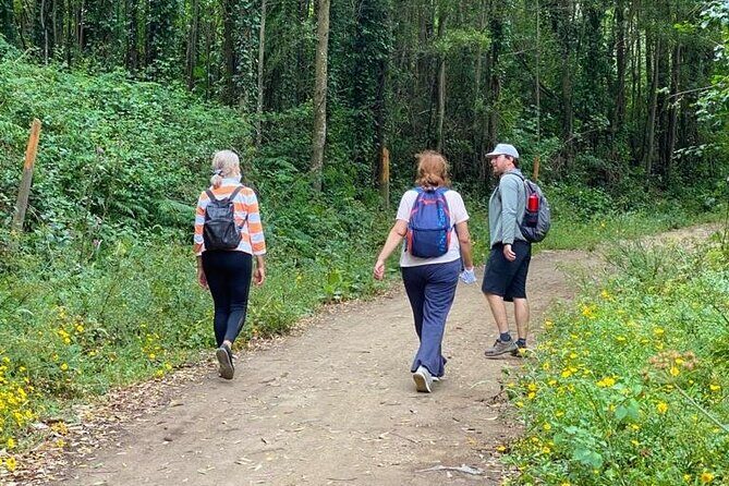 Private Half Day Hiking in Sintra-Cascais Natural Park - Exploring the Private Half Day Hiking in Sintra-Cascais Natural Park