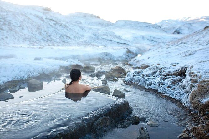 Private Half Day Iceland Tour with Guide and Vehicle - What’s Included and How It Works