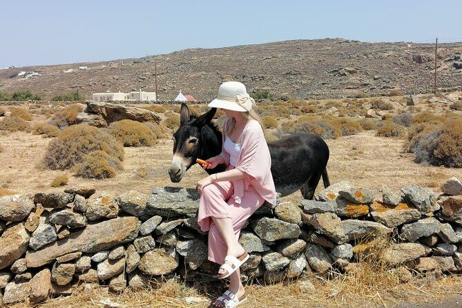 Private Half-Day Mykonos Insider Tour with Pick Up - Authentic Experiences Reported by Reviewers