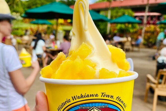 Private Half Day Oahu North Shore Anti-Tour - FAQs