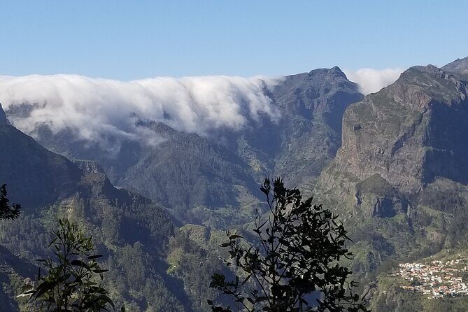 Private Half Day Off Road Tour in Madeira - An In-Depth Look at the Madeira Off Road Experience