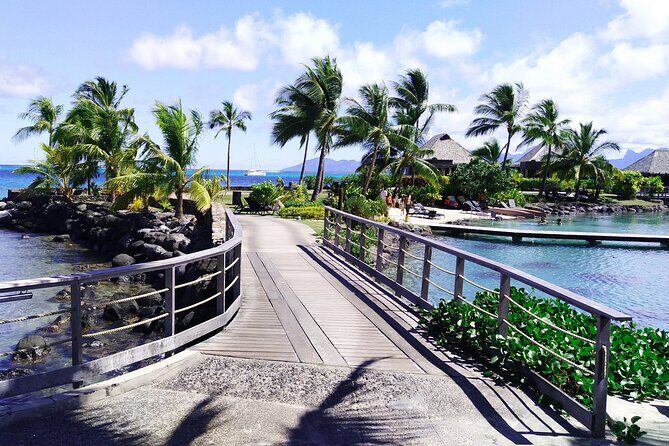 Private Half-Day  Papeete City & East Coast Nature - Practical Details and What You’re Getting