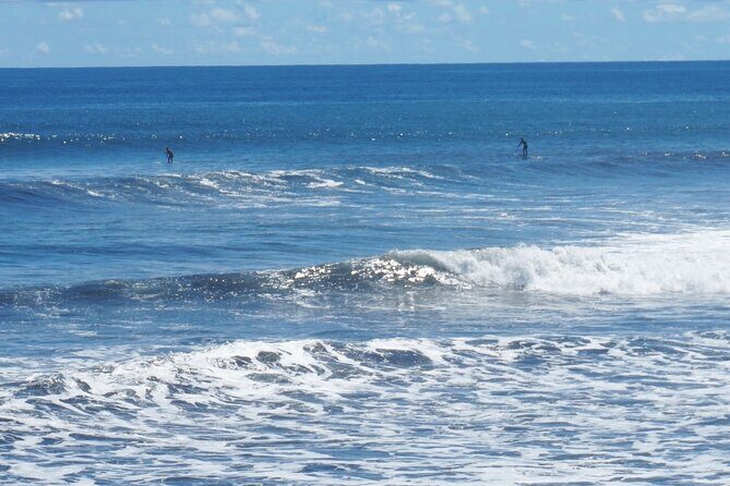 Private Half-Day  Papeete City & East Coast Nature - Who Should Consider This Tour?