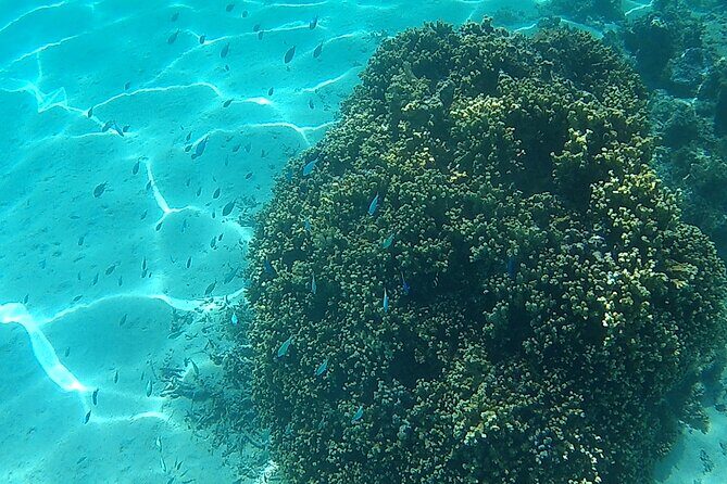 Private Half Day Sailing Excursion on the Lagoon of Tahiti - Who Would Enjoy This Tour?