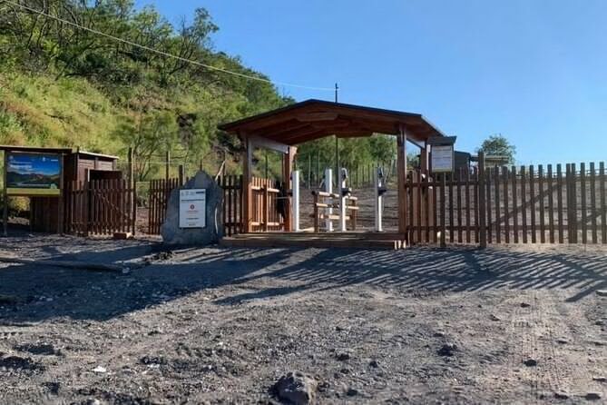 Private Half-Day Sightseeing Tour of Vesuvius National Park - Practical Considerations and Value