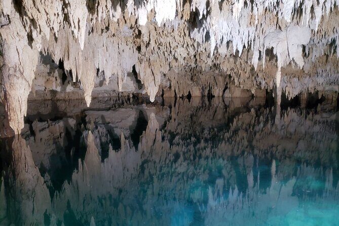 Private Half Day Swim with Turtles and Cenote - FAQ