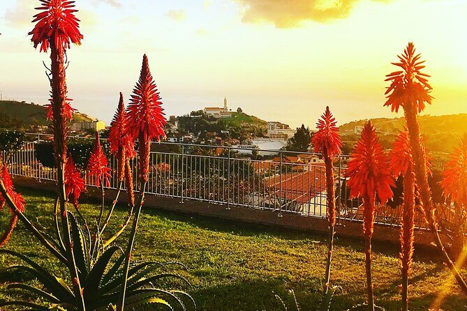 Private Half day tour around Madeira Island - The Overall Experience: What Travelers Say