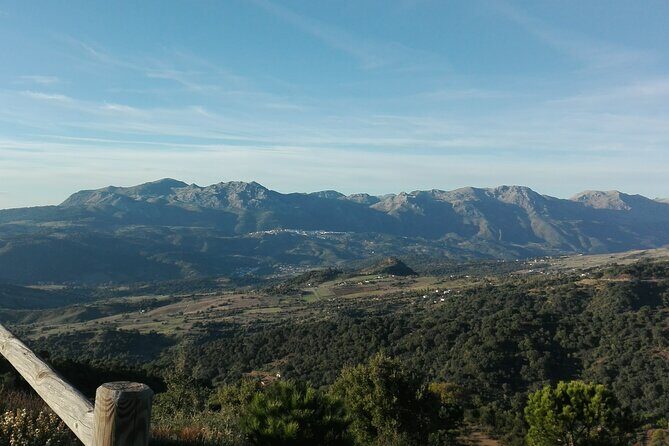Private half-day tour of Ronda and the White Villages with native - The Value for Money