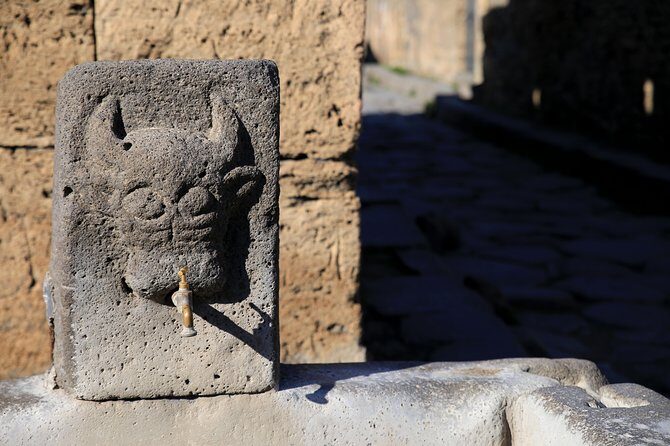 Private Half-Day Tour of The Pompeii Ruins Highlights and Mann - A Closer Look at the Itinerary