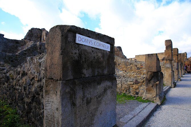Private Half-Day Tour of The Pompeii Ruins Highlights and Mann - Practical Tips for a Smooth Experience