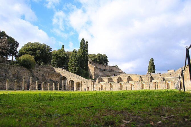Private Half-Day Tour of The Pompeii Ruins Highlights and Mann - Who Should Book This Tour?