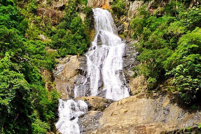 Private Half Day Tour: World Heritage Rainforest & Waterfall - The Sum Up: Why This Tour Stands Out