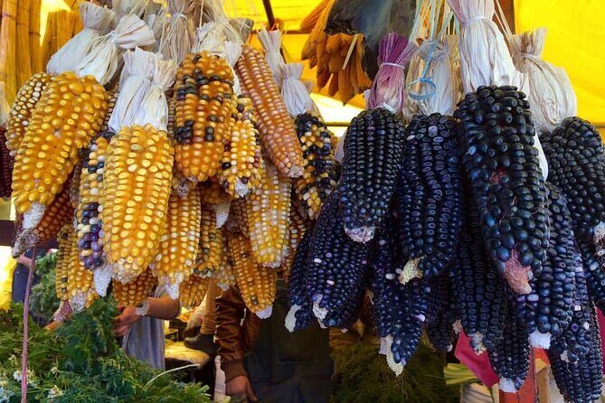 Private Half-Day Traditional Markets Street Food Tour in Mexico City - FAQs