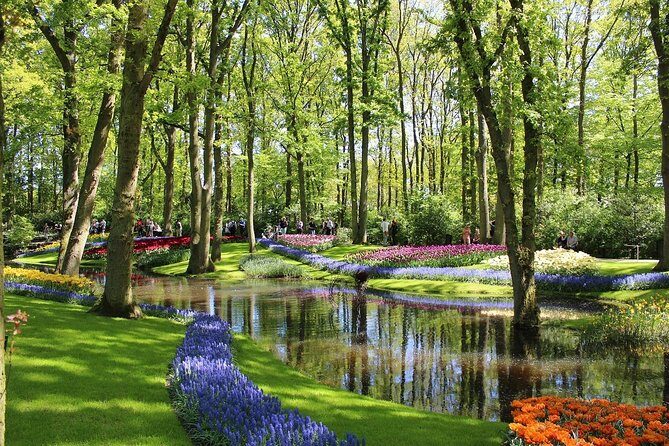 Private Half-Day Trip From Amsterdam to The Tulip Fields in Keukenhof - The Experience in Detail