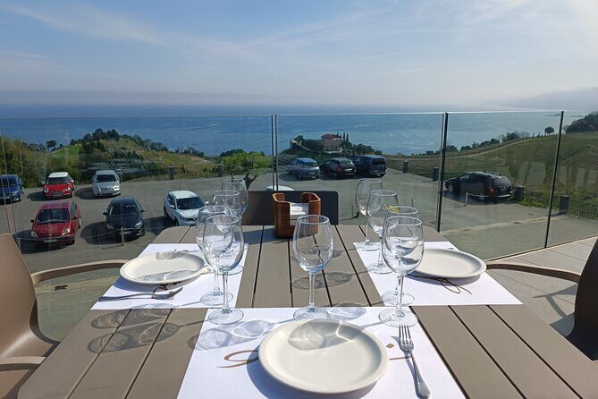 Private Half Day Txakoli Wine Tour & Getaria Fishing Village - Final Thoughts
