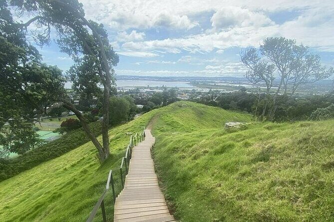 Private Half-Day Volcano Tour from Auckland - A Closer Look at the Experience
