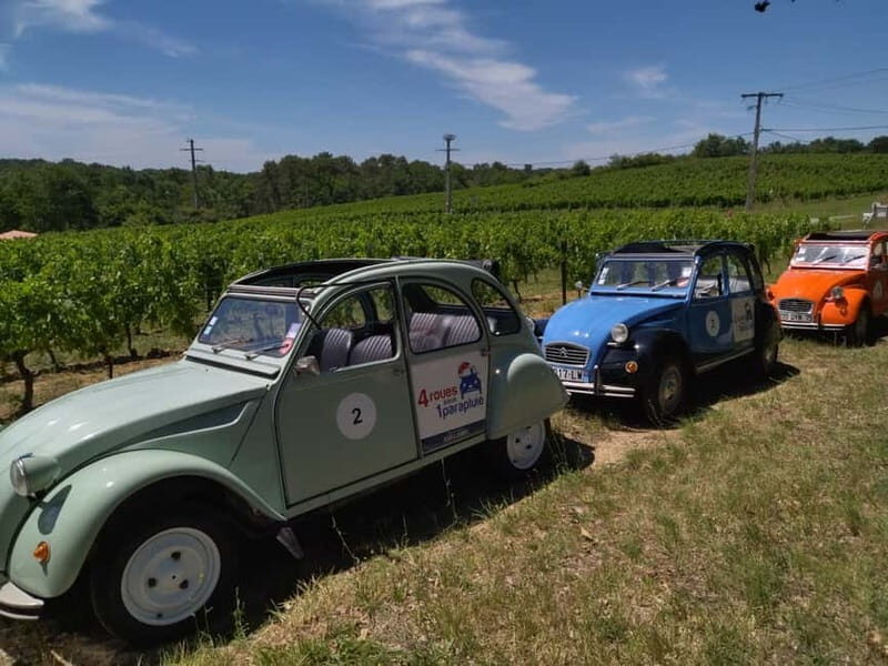 Private Half-Day Wine Tour in Citroën 2CV - Key Points