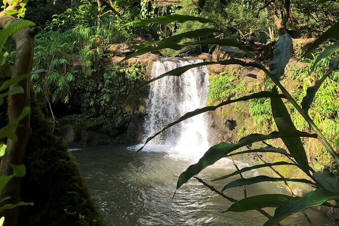 Private Hana Highway Highlights - Final Thoughts