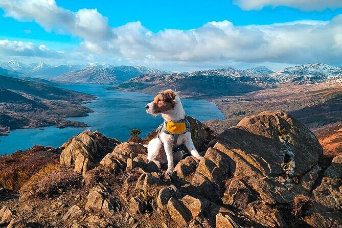 Private Harry Potter, Glenfinnan Viaduct, Highlands tour Glasgow - The Experience and What You’ll Love
