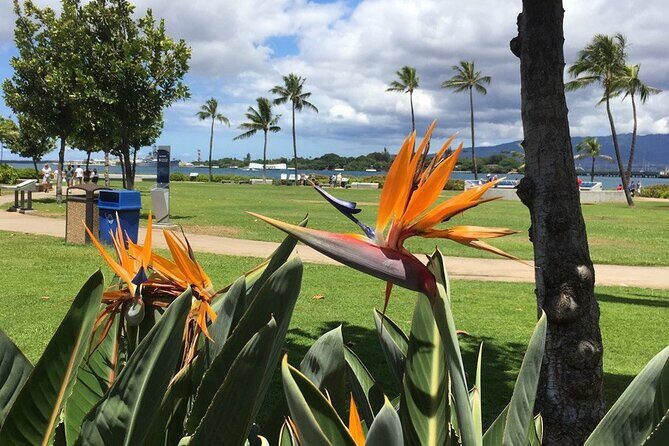 Private Hawaii Pearl Harbor Tours and North Shore (up to 12 people ) - In-Depth Review of the Tour Experience