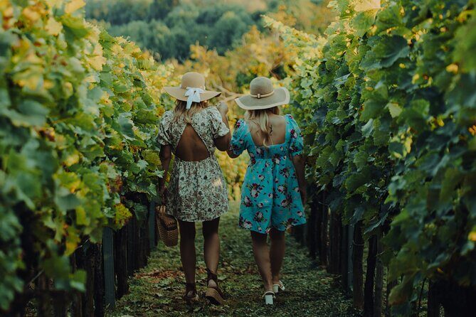 Private hedonistic food and wine experience from Zagreb - A Delicious Dive into Zagreb’s Food and Wine Scene