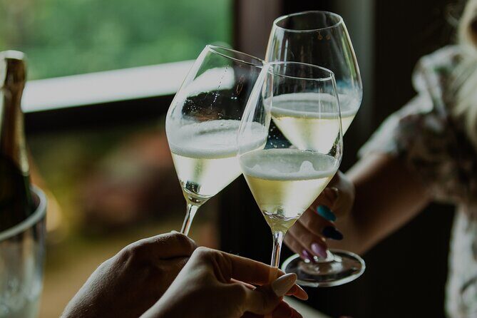 Private hedonistic food and wine experience from Zagreb - Who Would Love This Tour?  