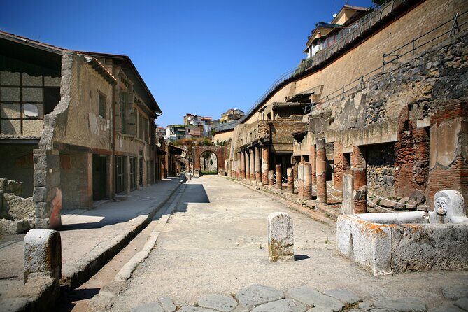 Private Herculaneum Tour  Top Experience with Local Guide - The Itinerary in Detail: What You Can Expect