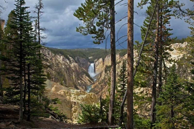 Private Highlight's Tour of Yellowstone National Park - Final Thoughts: Is This Tour for You?