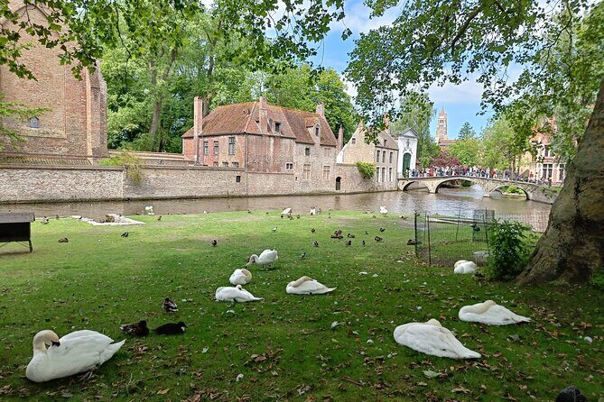 Private Highlights Walking Tour in Bruges - Who Would Enjoy This Tour?