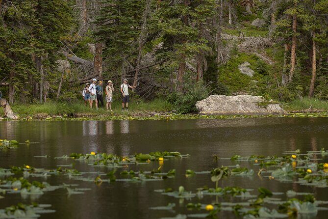 Private Hike Emerald Lake In Rocky Mountain National Park - An In-Depth Look at the Emerald Lake Private Hike