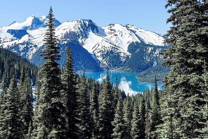 Private Hiking Day Tour of Garibaldi Lake Panorama Ridge - Practical Considerations: Timing and Physical Fitness