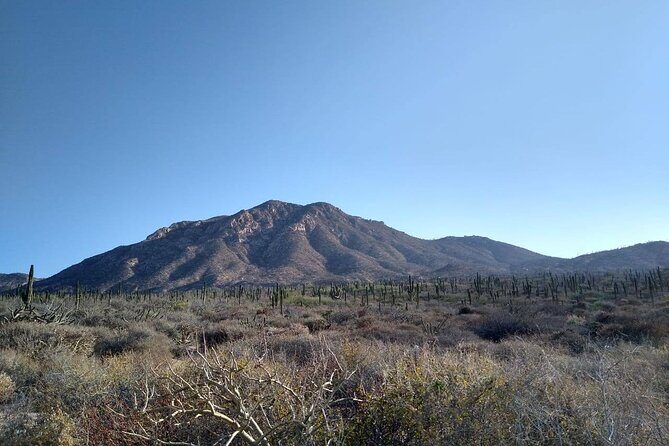 Private Hiking in La Paz - The Experience Perspective: What Travelers Say