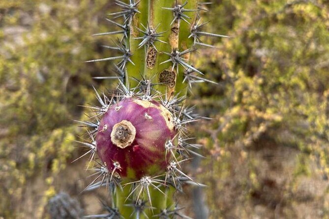 Private Hiking in La Paz - FAQs about Private Hiking in La Paz