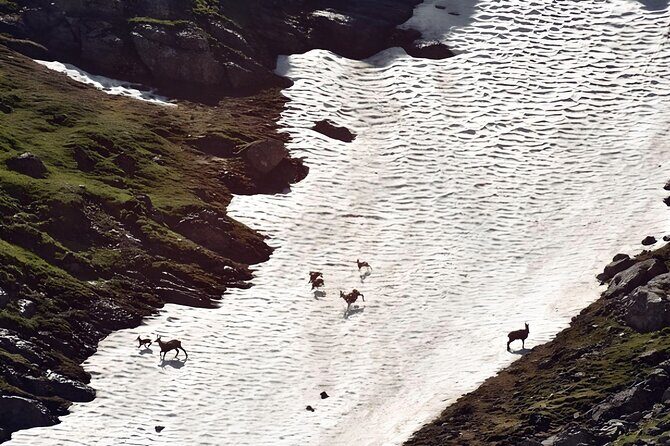 Private Hiking to Bucegi Natural Park from Brasov - Who Will Love This Tour?