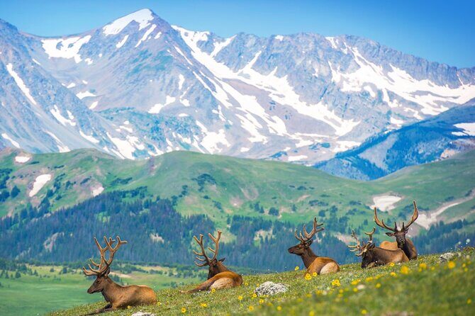 Private Hiking Tour Experience at Rocky Mountain National Park - Gear, Snacks, and Comfort