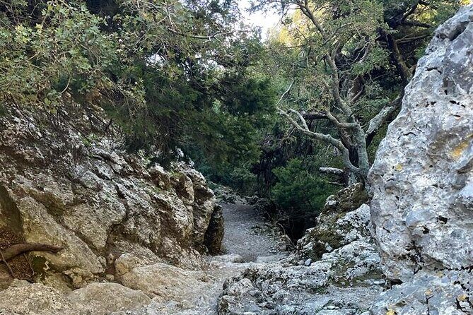Private Hiking Tour in Imbros Gorge (Chania) - Authentic Insights from Past Travelers