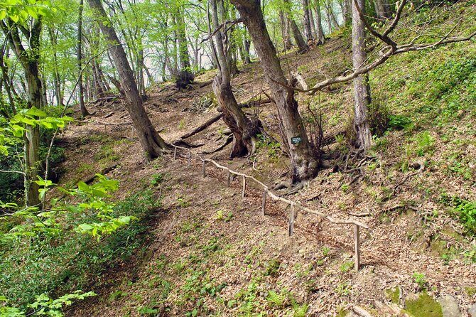 Private Hiking Tour to Machakhela National Park from Batumi - The Transport & Timing