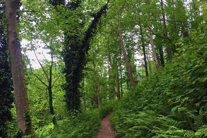 Private Hiking Tour to Mtirala National Park from Batumi - Who Is This Tour For?